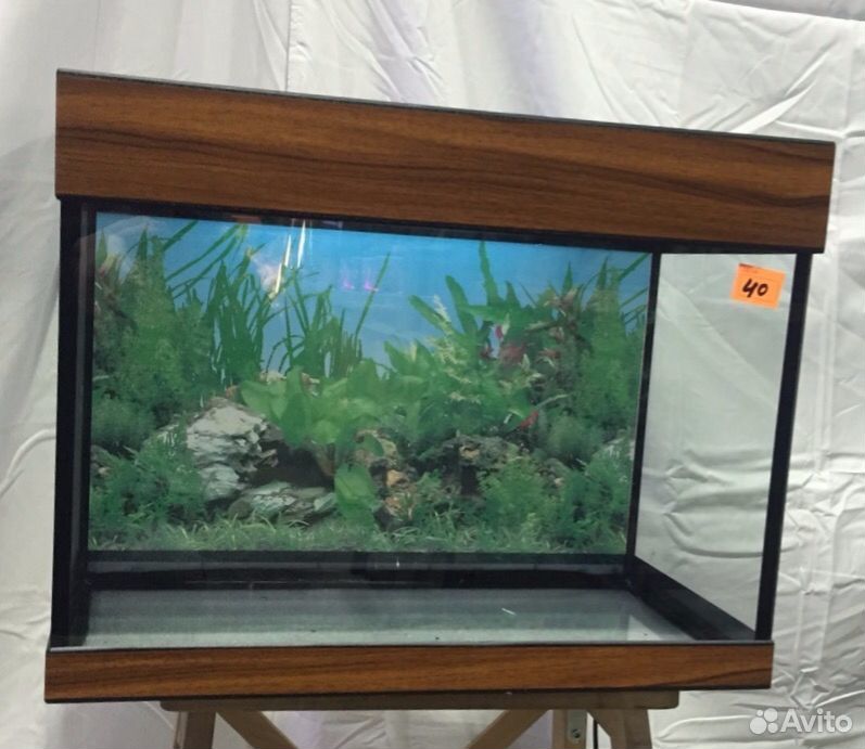 40л Зеленоградский. Орех. Гарантия 5 лет