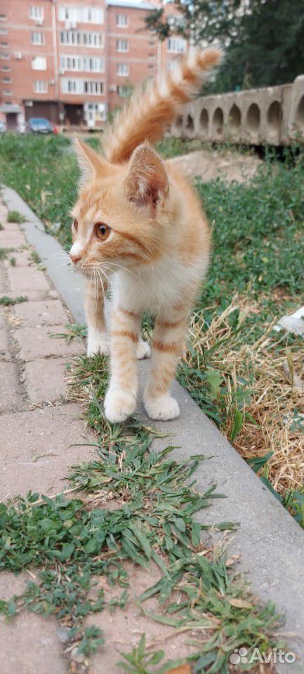 Мальчик в добрые ручки