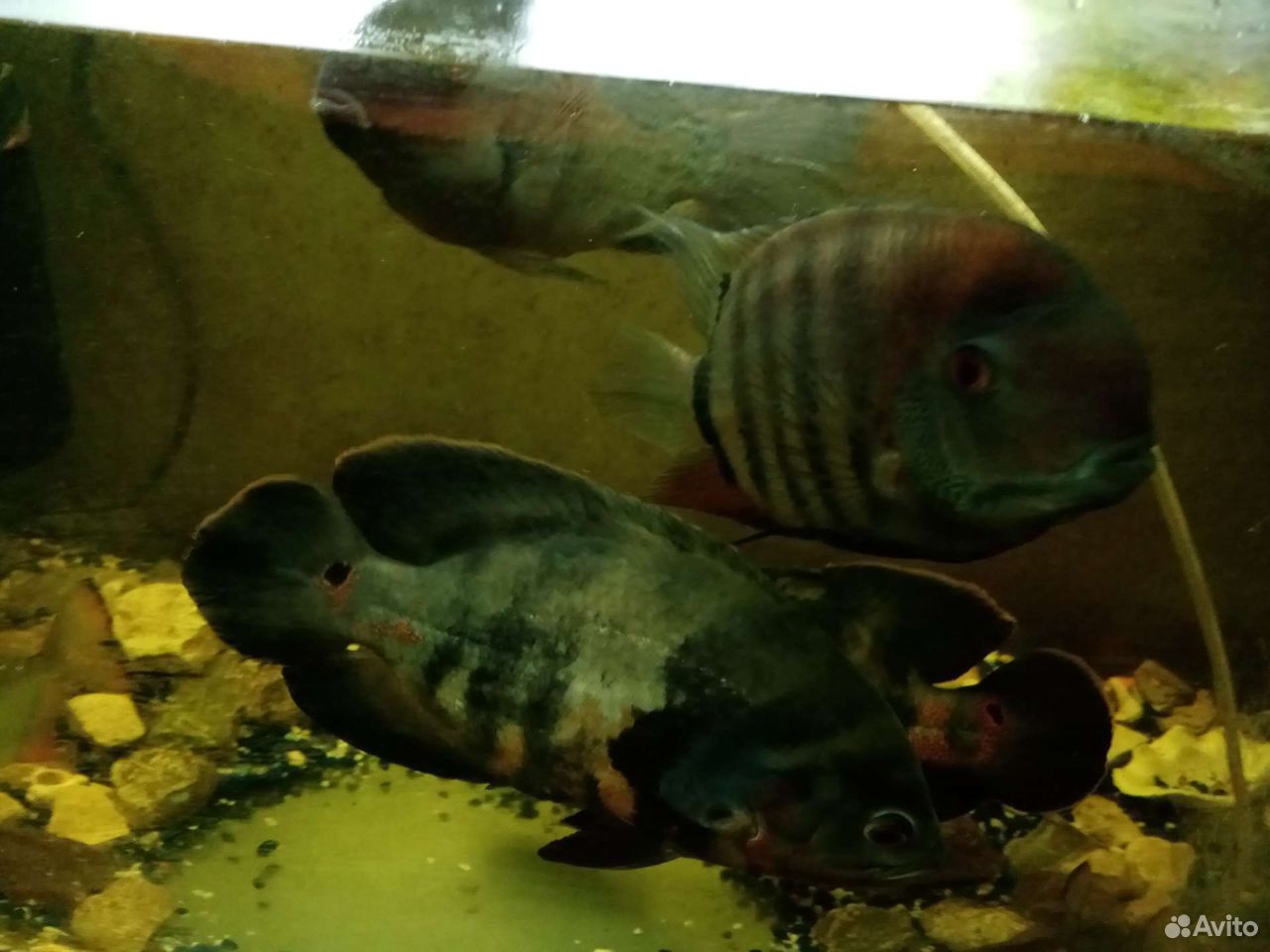 Личные вещи