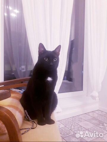 Серьезный парень