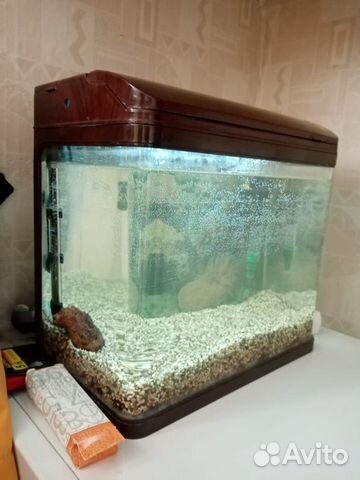 Аквариум