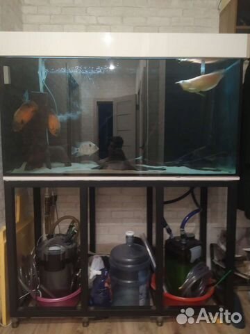 Аквариум 1300х630х500