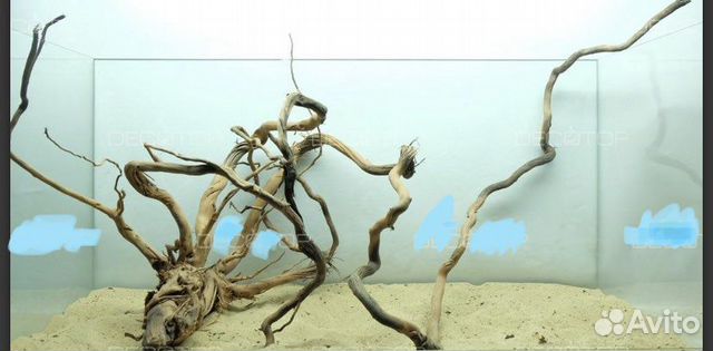 Коряга Antigua натуральная