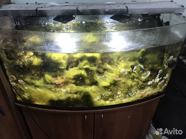 Живой камень (ЖК) для морского аквариума
