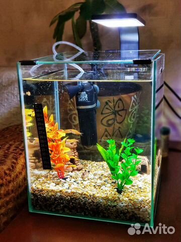 Аквариум с оборудованием и рыбками