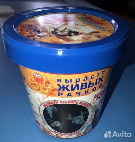Вырасти живых рачков