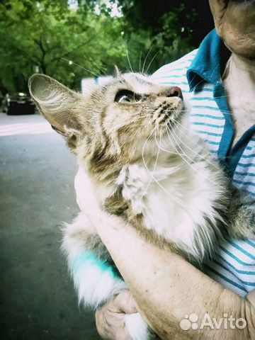Лерочка, примерно 3 года