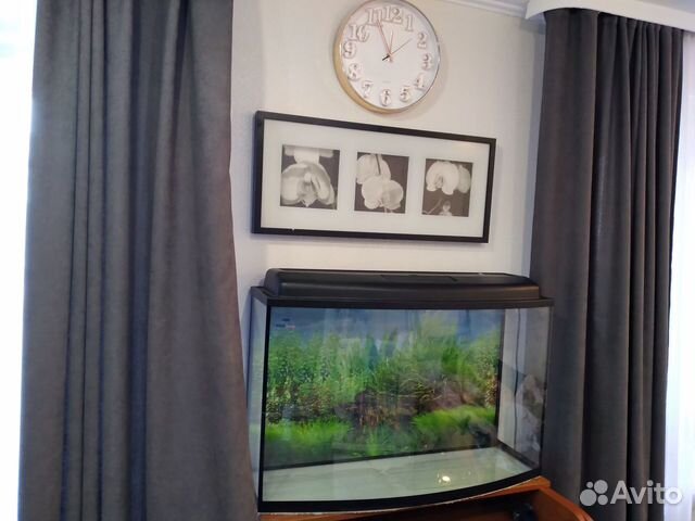 Аквариум понарамный 100