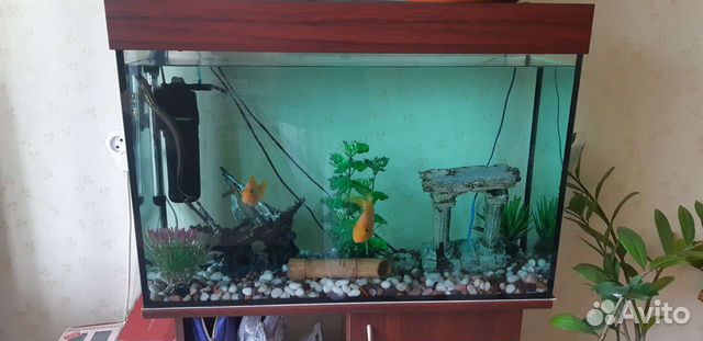 Аквариум