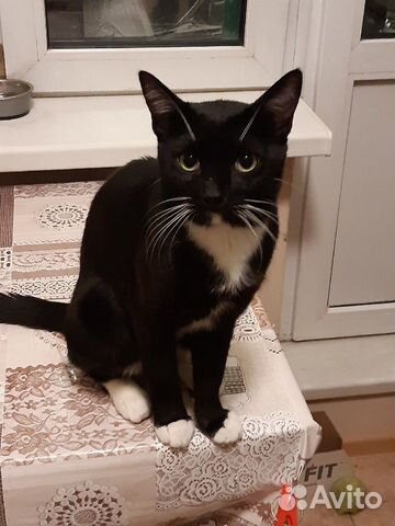 Марселю нужен дом