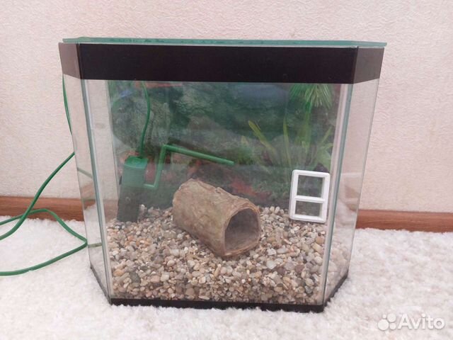 Аквариум