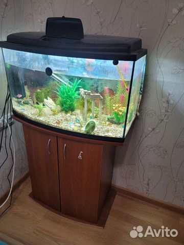 Аквариум с тумбой бу