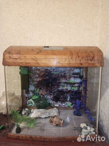 Аквариум jebo