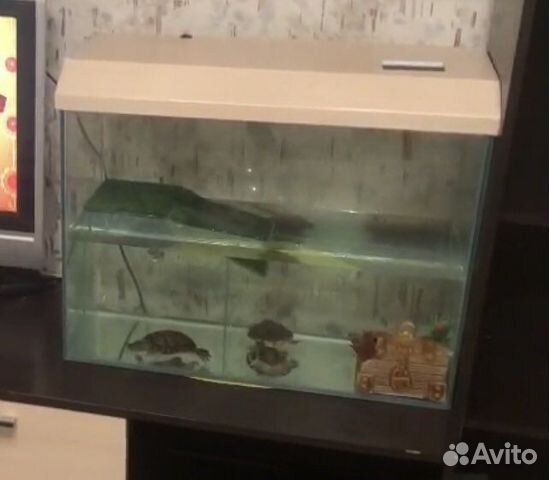 Аквариум 120л, возможен обмен