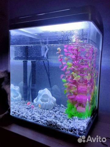 Аквариум