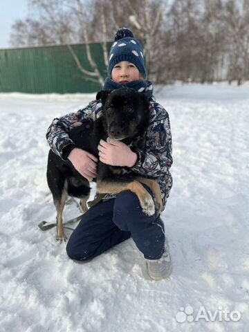Добрый и весёлый Багги, отдам