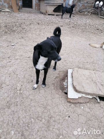 Маня ищет семью