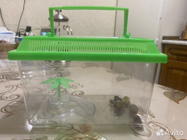 Террариум аквариум контейнер-переноска пластиковый