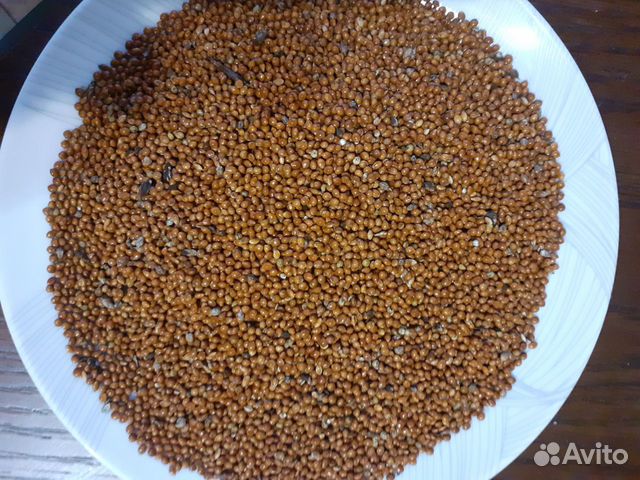 Просо красное