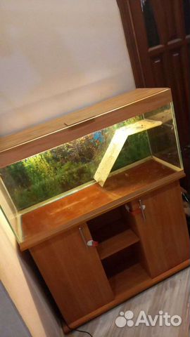 Аквариум для красноухой черепахи 200 литров с тумб