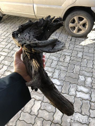 Аквариум декор корень мангры