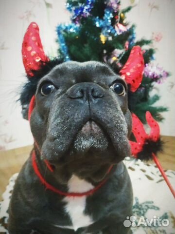 Самая лучшая Французская Булка