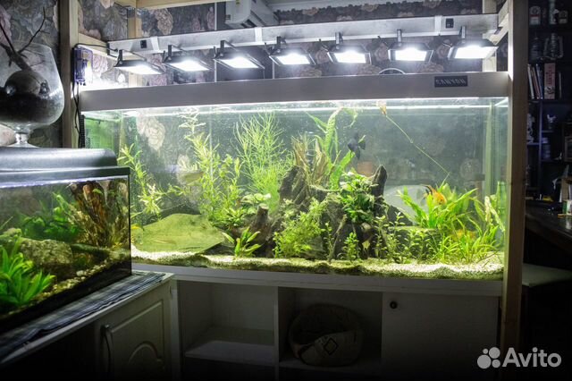 Продам Аквариум 500л