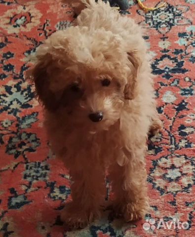 Самое милое создание на свете