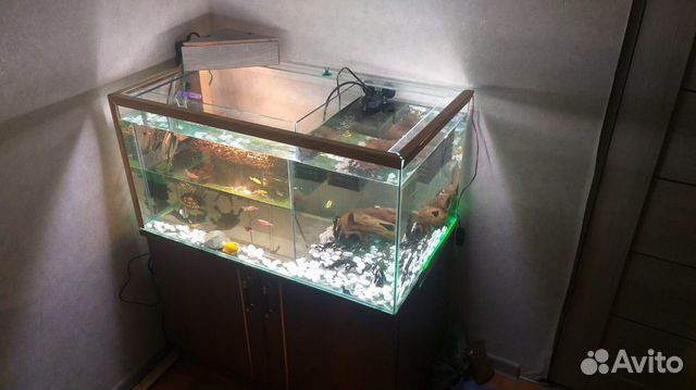 Аквариум с рыбками и 2 черепахи