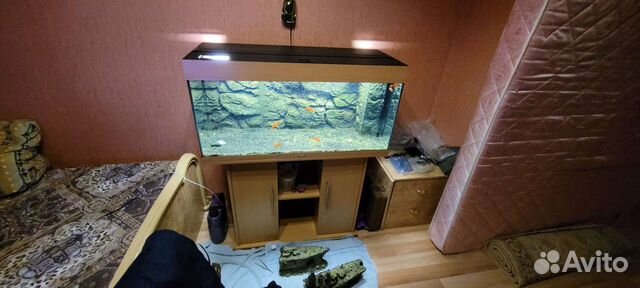 Аквариум