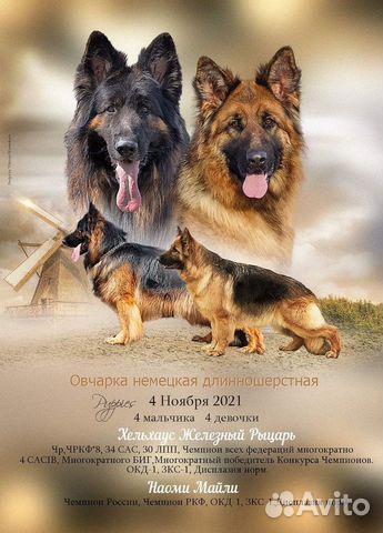 Шикарный подрощенный мальчик