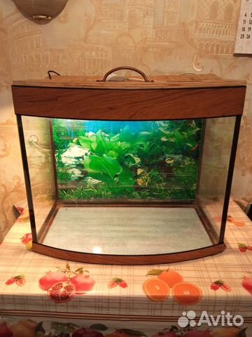 Аквариум панорамный 90л