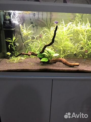 Аквариум и тумба