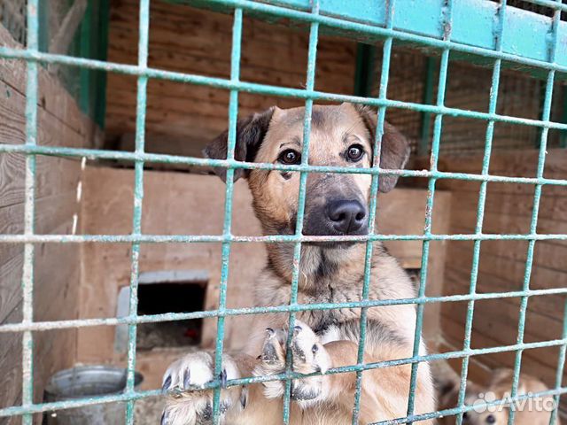 Рейчел, малышка которая не может себя защитить