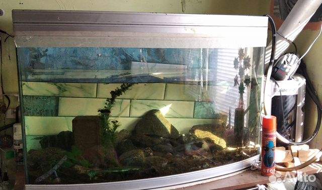 Аквариум 250 литров с фильтром