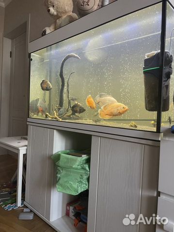 Аквариум 260 литров