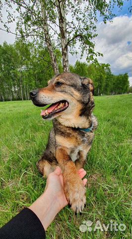 Ждём Добрых людей с Большим сердцем