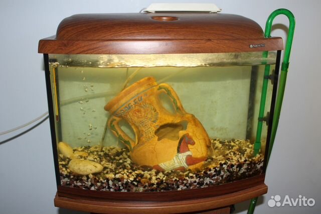 Глиняная ваза в аквариум