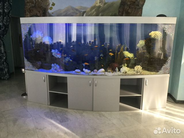 Аквариум 2000 л