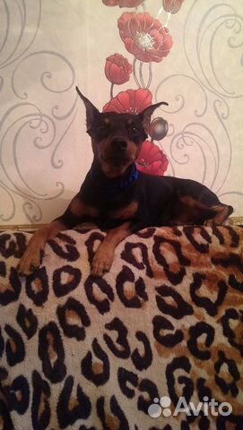 Приглашаю на вязку