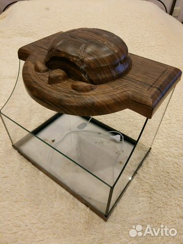 Террариум. Черапатник