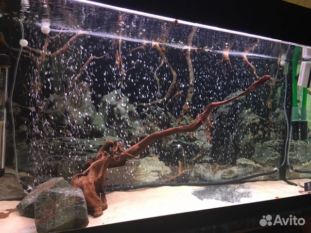 Аквариум 200л+внешний фильтр Eheim+стерилизатор