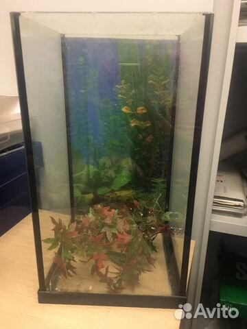 Аквариум