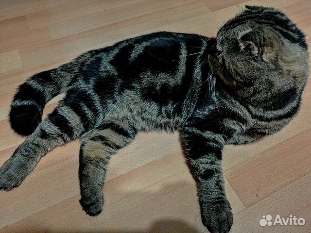 Вязка
