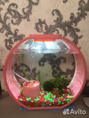 Аквариум с рыбками и аксессуарами