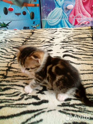 Экзотическая