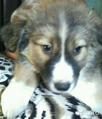 Родители я вас так жду