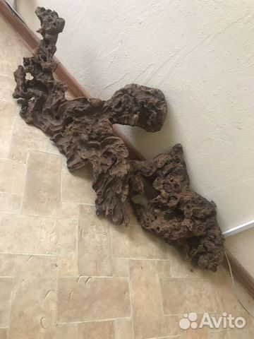 Мангровые коряги Мопани большие
