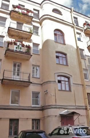 Котята с Баскова переулка, дом 12