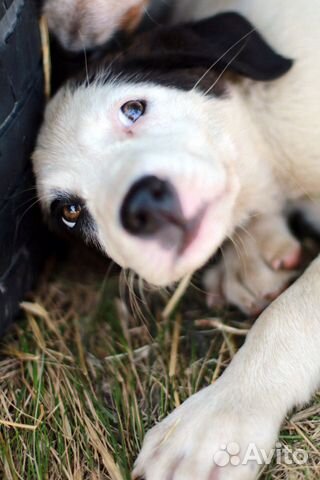 Как игрушечная девочка